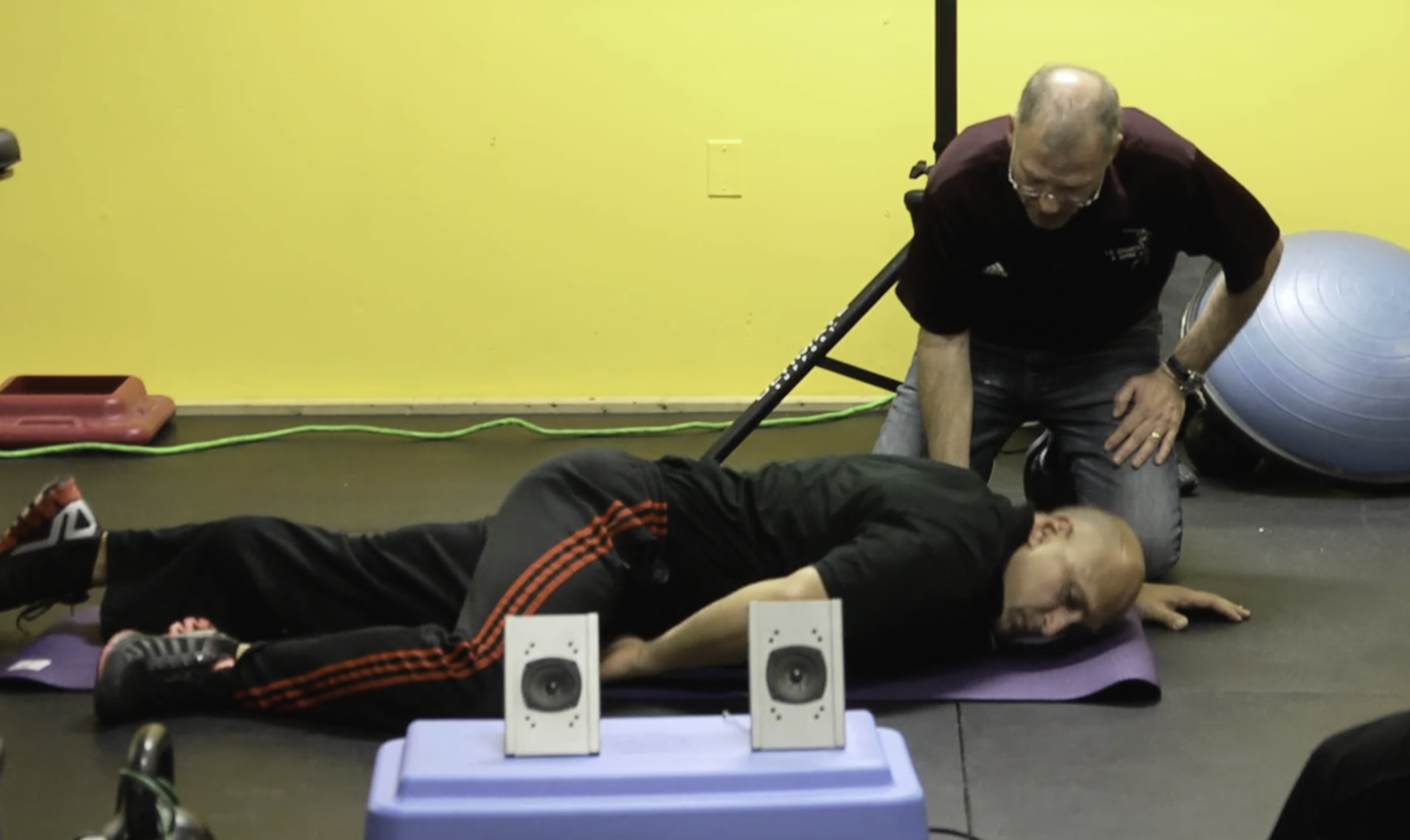 Faulty Movement Patterns Revisited, Hour 4 of 10 - Online CE Pro