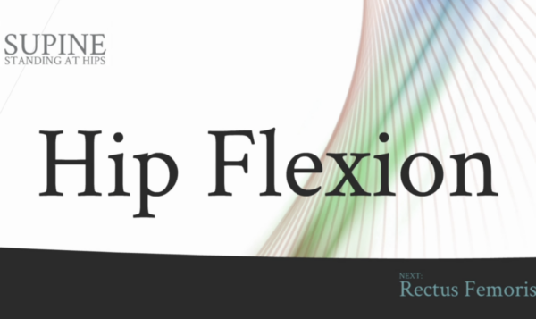 Muscle Testing and Exercise Prescription, Hour 2 of 9, Muscle Testing ...